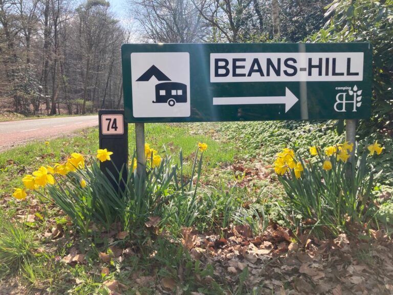 Faciliteiten- Omgeving - Camping Beans-Hill | Vierhouten